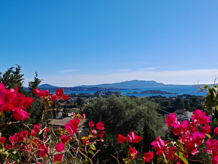 La Florellie, Vue Panoramique, Piscine, - Saint-Cyr-sur-Mer