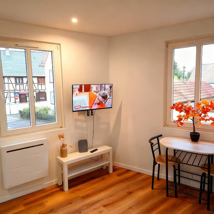 Studio Rénové à Eckbolsheim - Eckbolsheim
