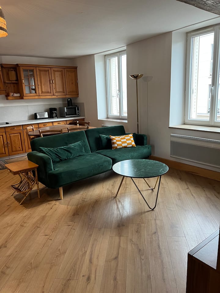 Appartement Olivet Centre - Olivet