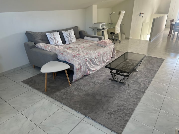 Magnifique Chambre Avec Salle De Bains Privative - Renens