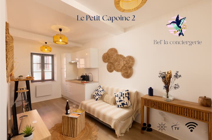 Le Petit Capoine 2- T2 Cosy- Fibre- Plein Centre - Carcassonne