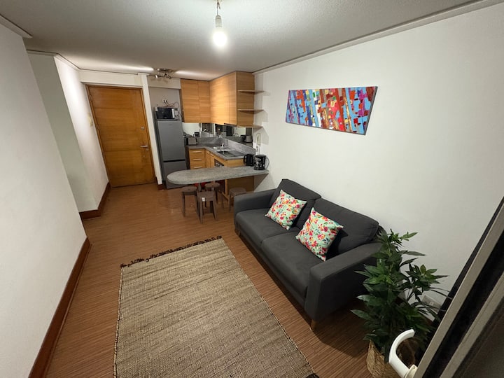 Cómodo Departamento San Diego - Santiago
