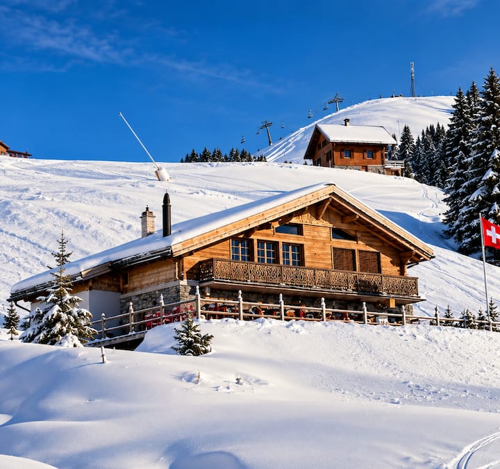 Ski-in/ski-out Chalet With Panoramic View - Avoriaz