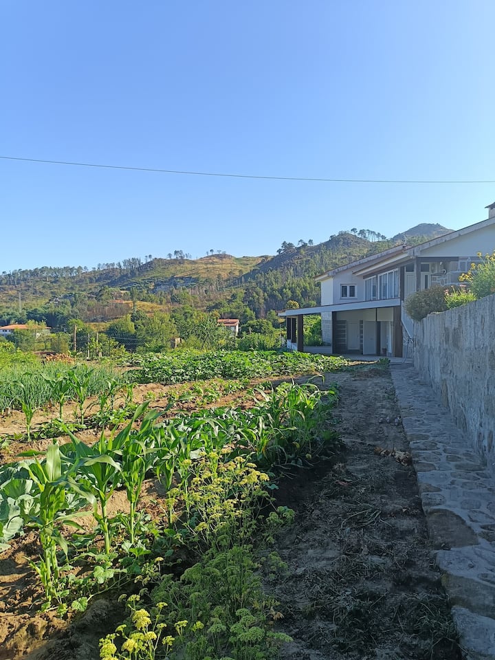 Casa Dos Valentes - Vila Boa Do Bispo - Marco de Canaveses