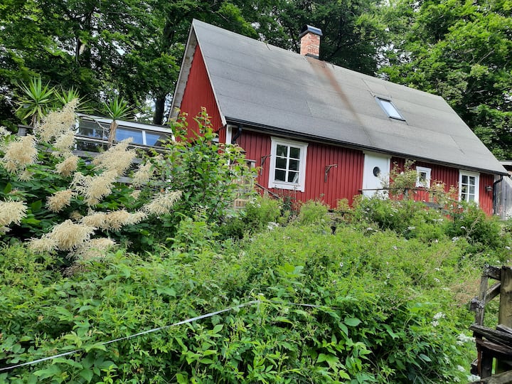 Högst Upp På Söderåsen - Klippan