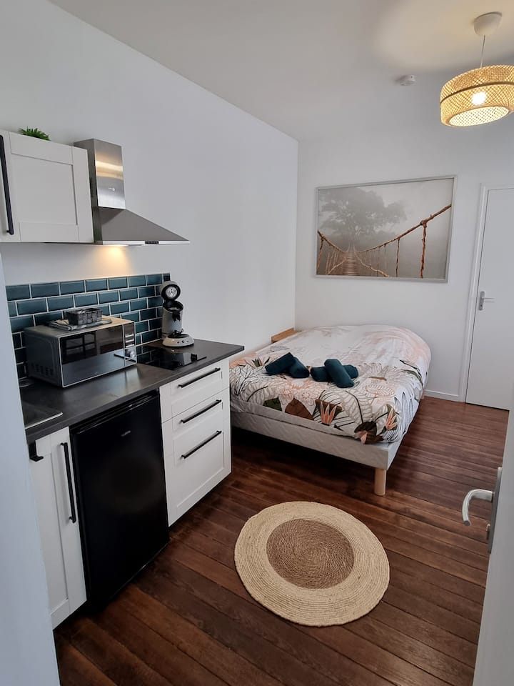 N1 - Studio Cosy Et Charmant - Valenciennes