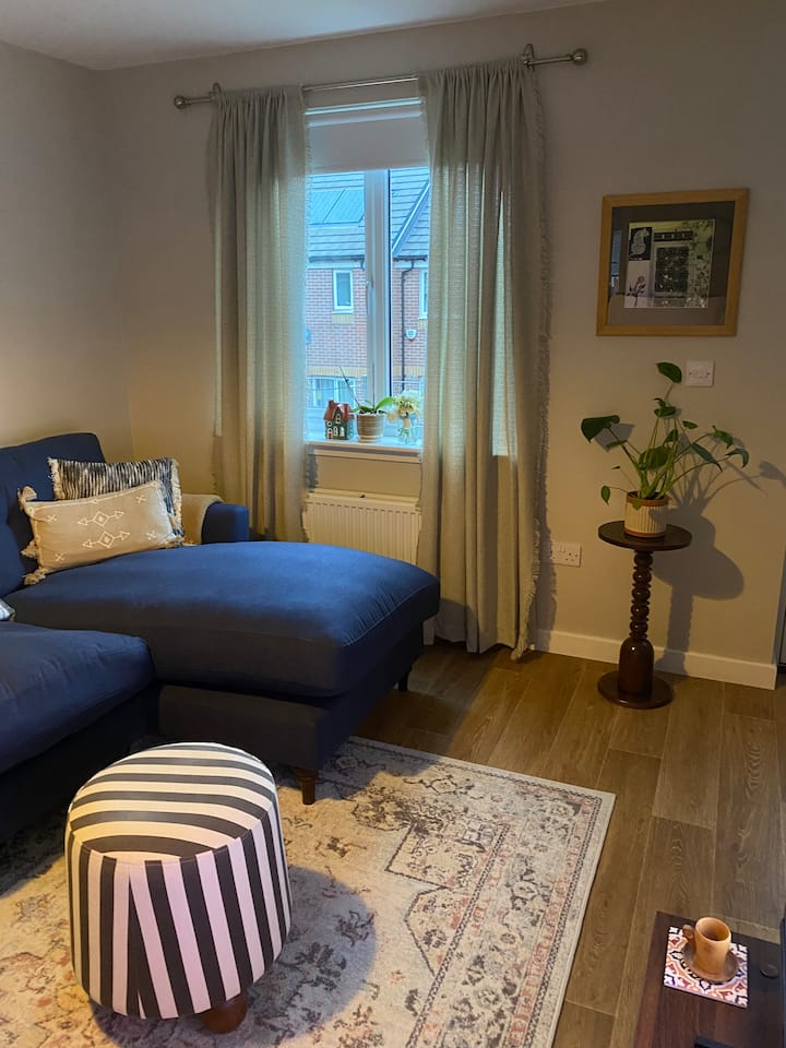 Small Home In Glasgow Southside - Paisley