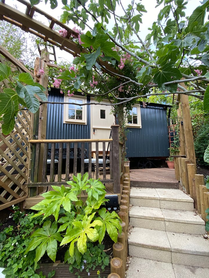 Hill Rise Hideaways - Shepherd's Hut - Teignmouth