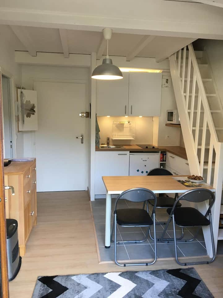 Adorable Studio Au Cœur Des Montagnes - Cluses