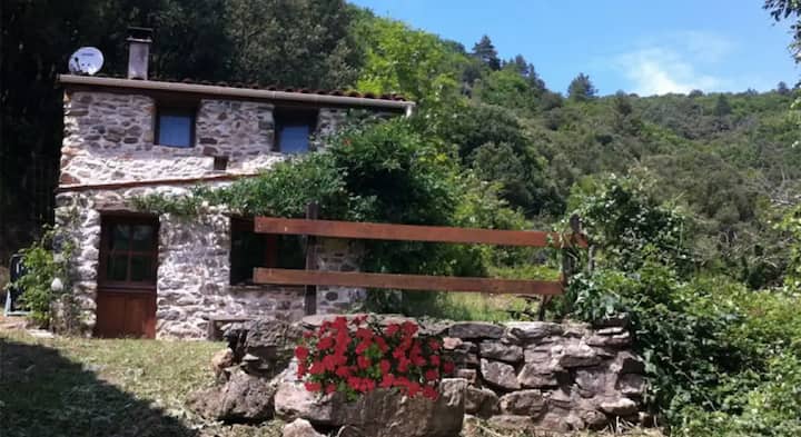 Authentique Maison En Pierre Avec Terrasse Privée - La Salvetat-sur-Agout