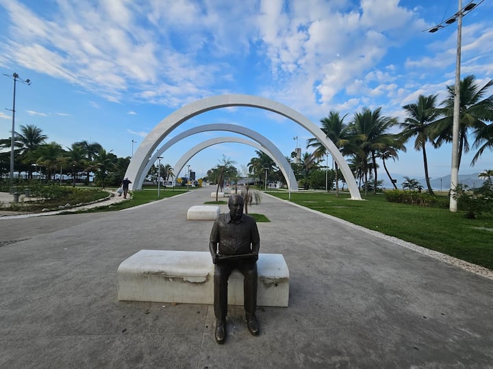 Apartamento Com Varanda Em Frente A Praia - Santos State
