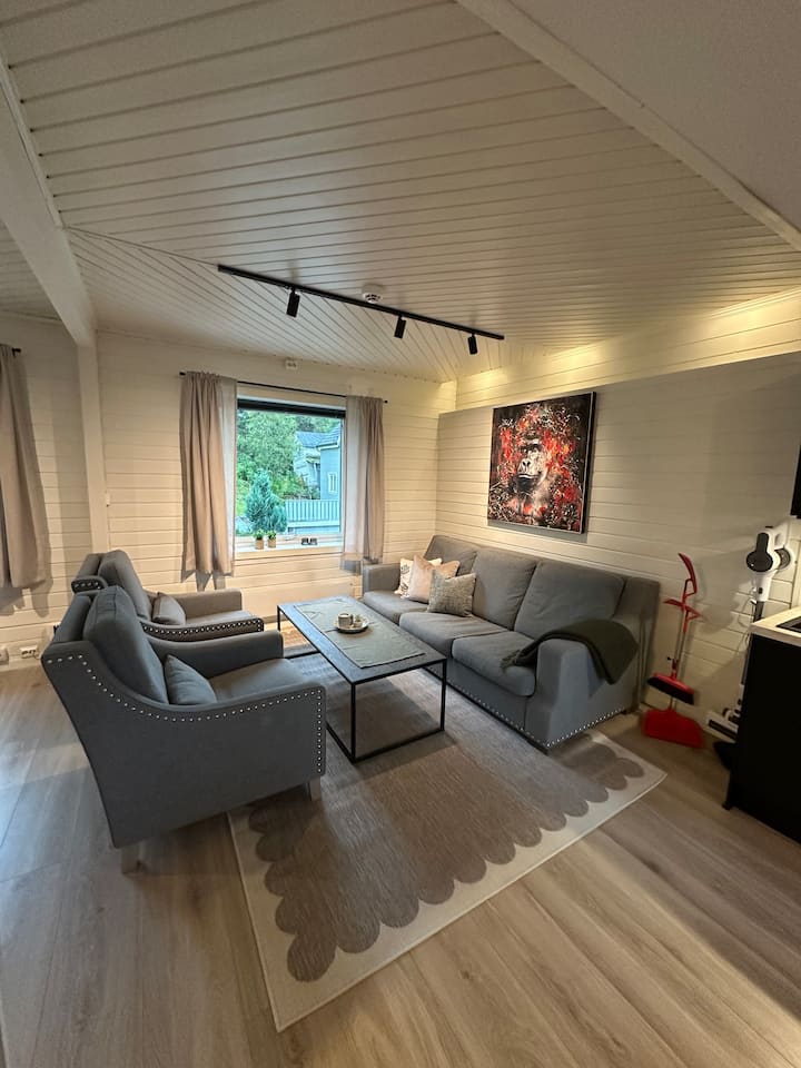 Fin Fire Roms Leilighet
Gangavstand Sentrum - Tromsø