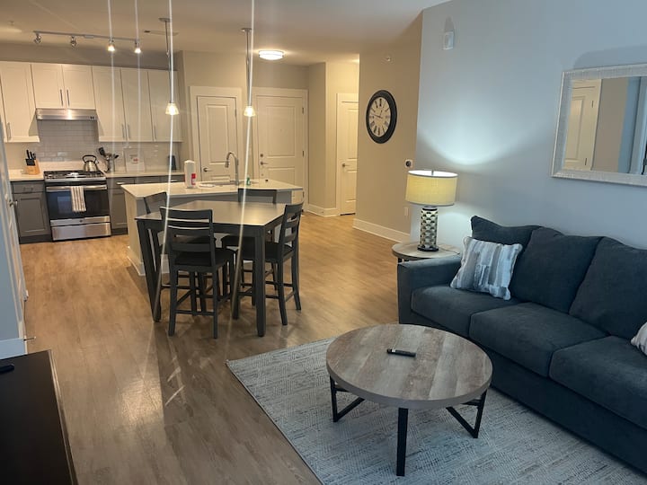 Waverly 2br/2ba Lux Apt Home Walk To Restaurants - Charlotte, NC
