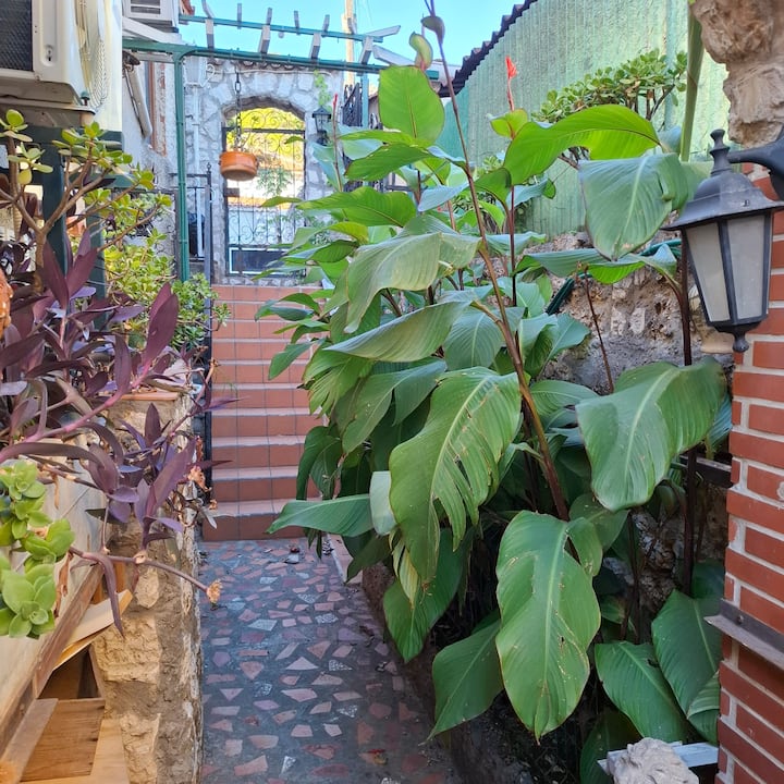 Chaleureuse Location Toulonnaise - La Valette-du-Var