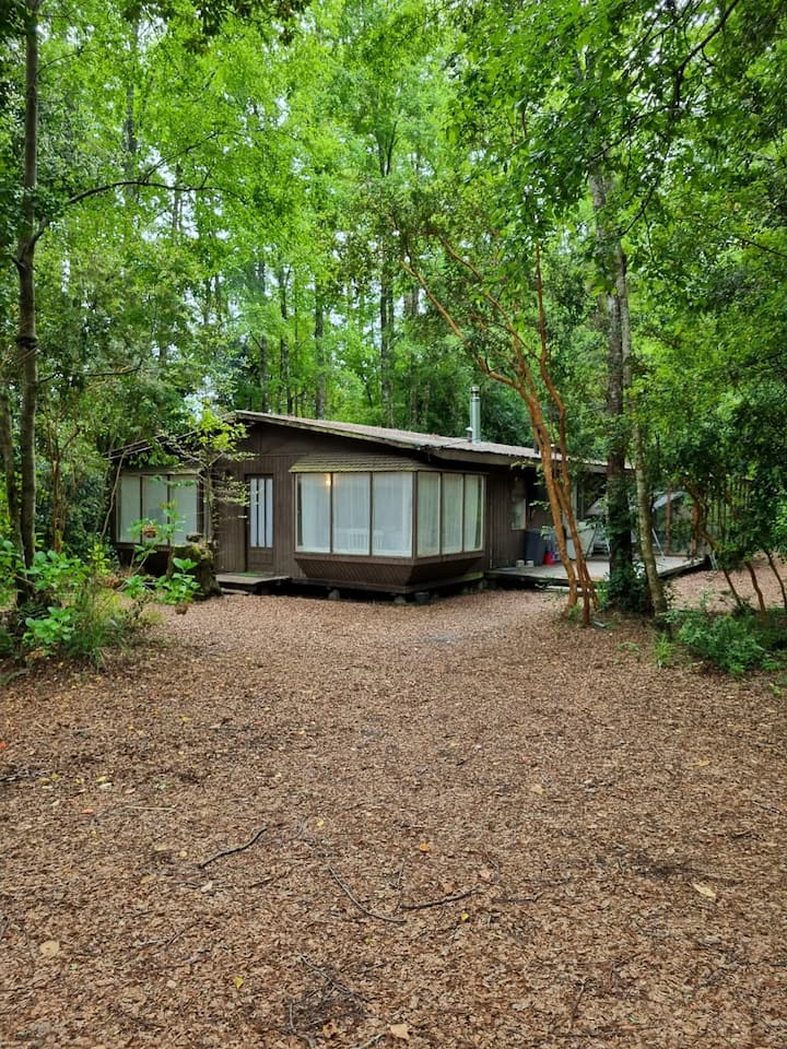 Cabaña En Pucón Con Bosque Nativo Privado - Pucon