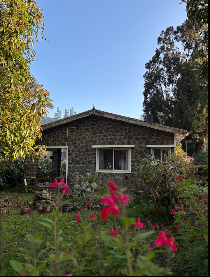 Serene Scenic Studio, By The Shola Forest - Kodaikanal