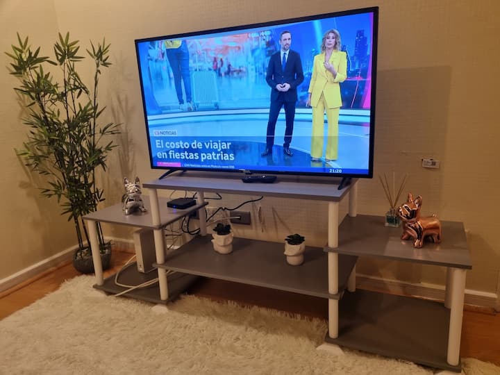 Hermosa Vista Centro De La Ciudad - Rancagua