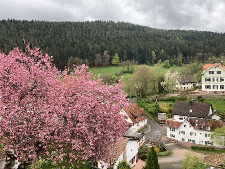 Die Kleine 8 - Neubulach