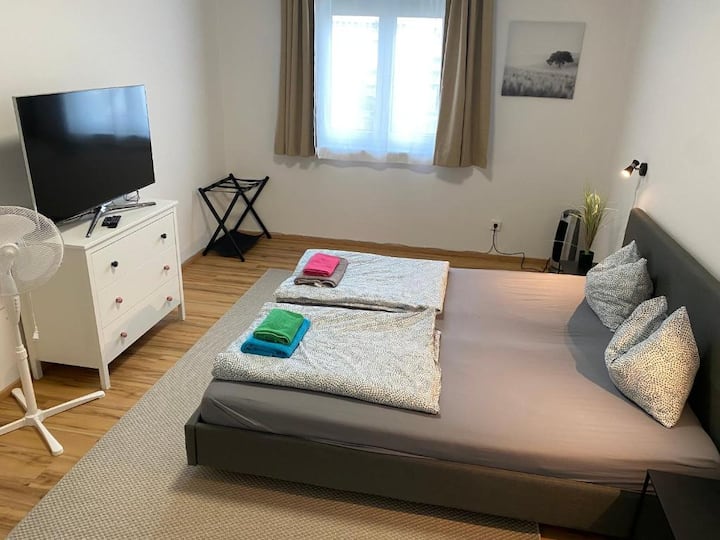 Charming Flat In A Quiet Central Location - Graz