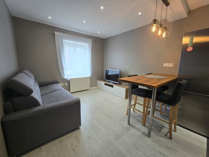 Grand Appartement Moderne, Parking -Proche Walibi - Morestel