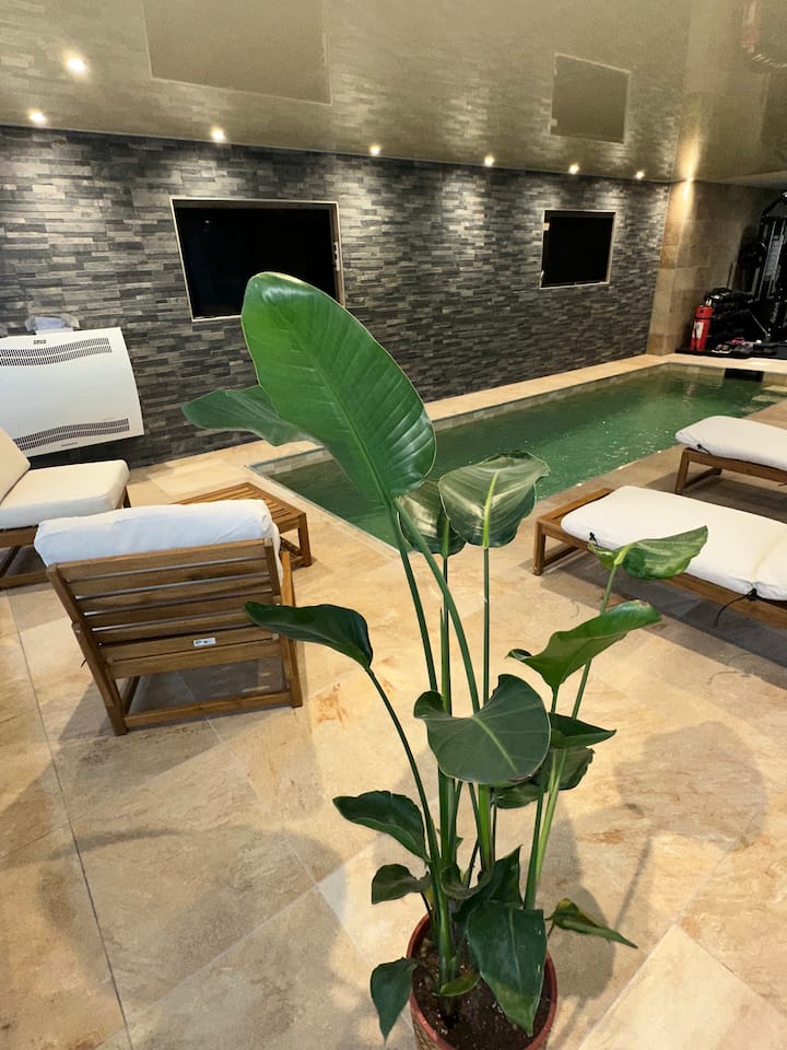 Appartement D’exception Avec Spa, Piscine & Hammam - Strasburgo