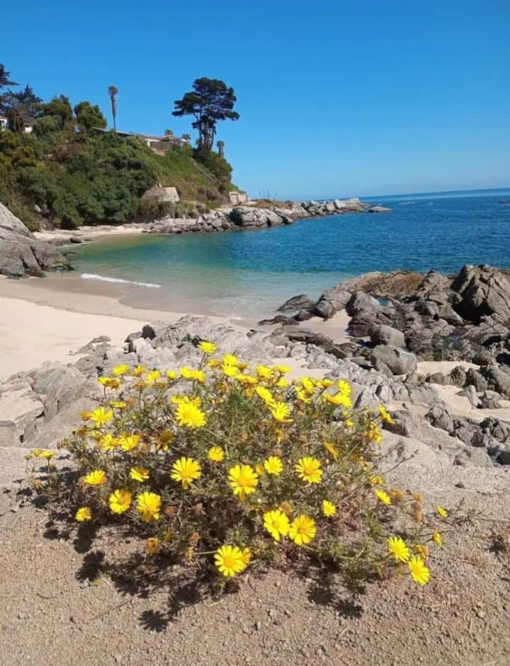Vivienda Quintero A Pasos De La Playa Durazno - Quintero