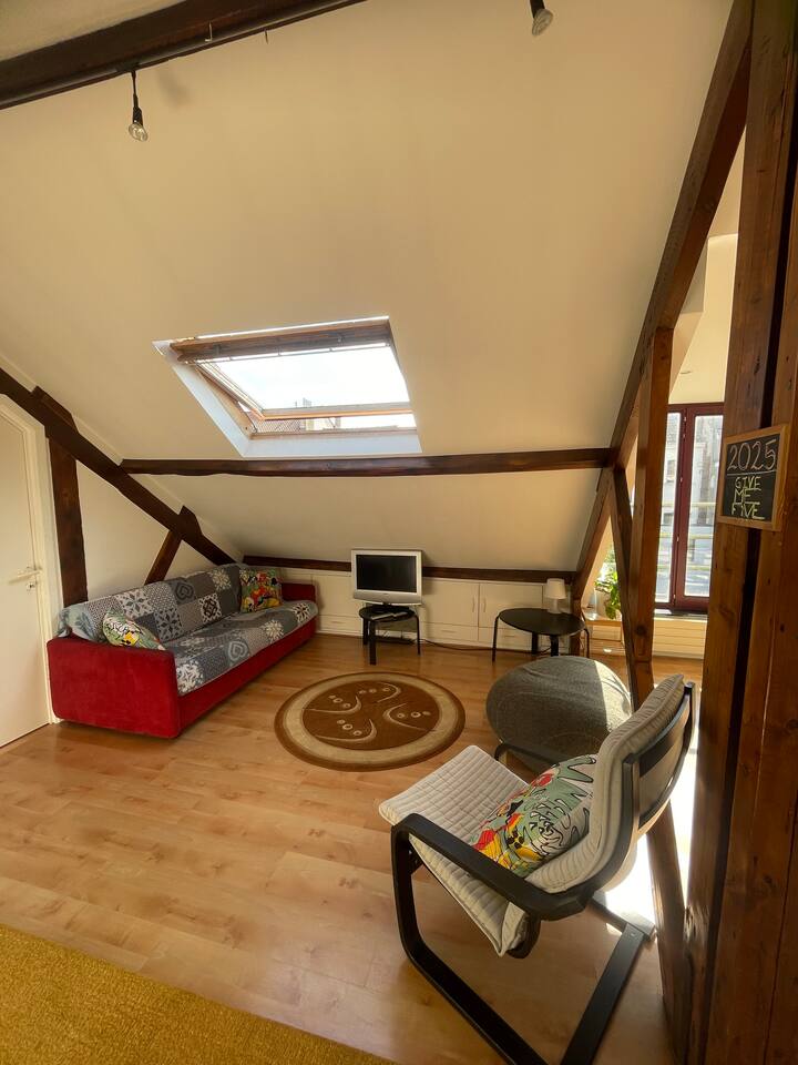 Apartamento Para Viajeros - Brussels