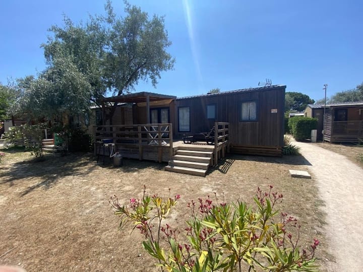 Vacances 5 éToiles En Bord De Mer. - Le Barcarès