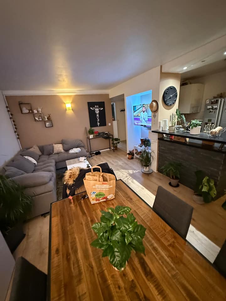 Appartement Proche Des Commodités, Nuit Au Calme - Thonon-les-Bains