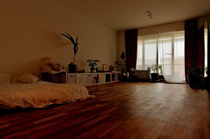 Helles Studio Mit Balkon Nahe Der Rheinpromenade - Constance
