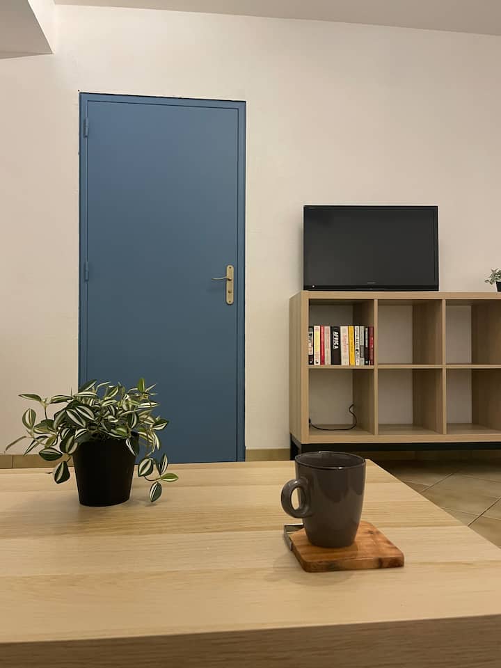 Renewed Apartment In The Center Of Ferney-voltaire - Mijoux