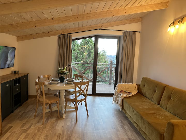 Anielski Zakątek Apartament Ryś - Solina