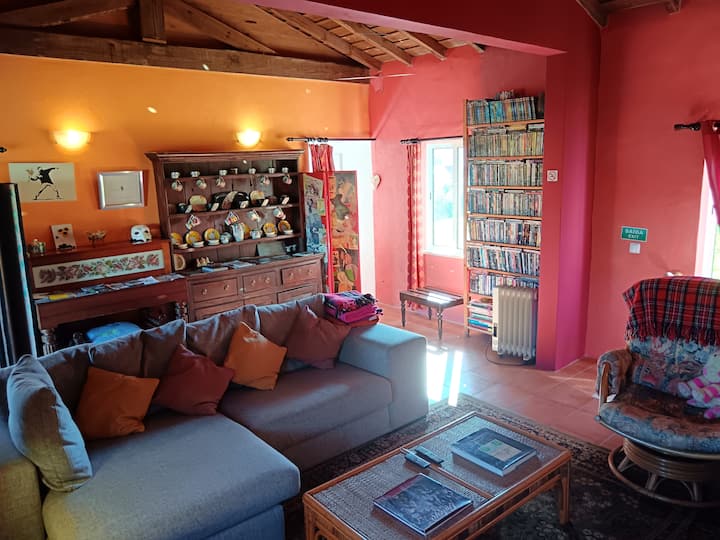 Casa Da Casimira. In Vineyard Village With Café - Miranda do Corvo