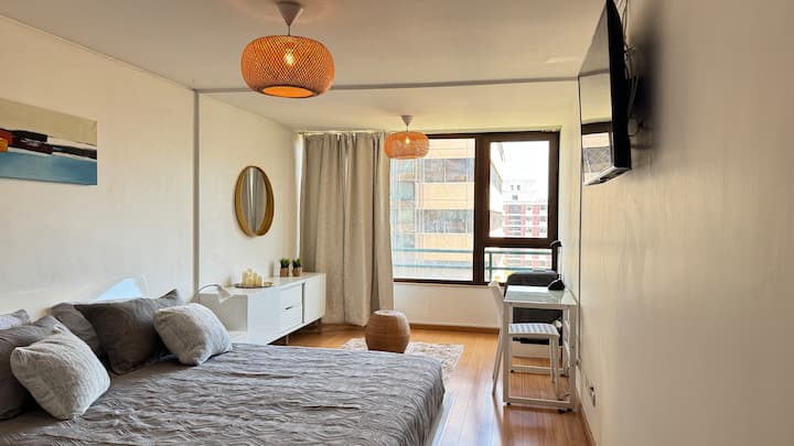 Estilo Y Comodidad Barrio Bohemio - Providencia - Santiago