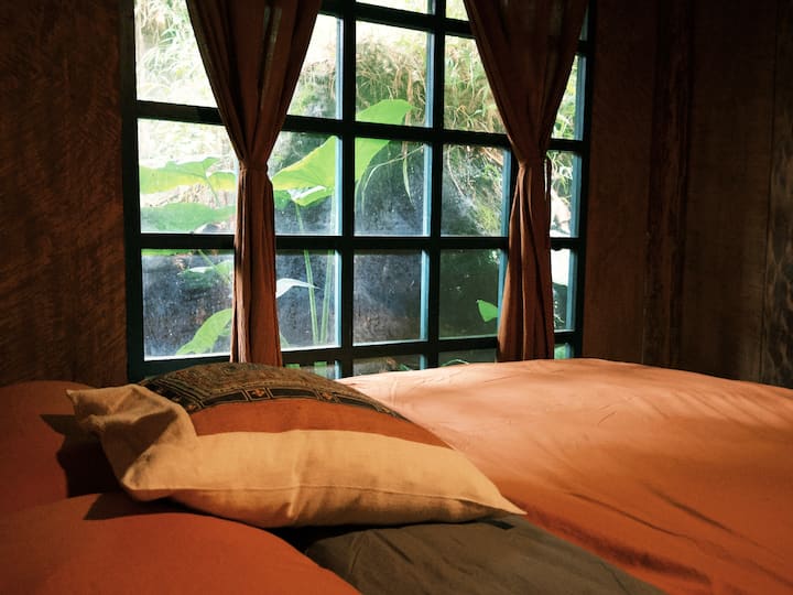 Full House By The Little Stream - Bluebird Home - China