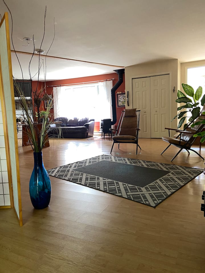 3 Et 1/2 Meublé Situé Dans Un Quartier Résidentiel - Levis