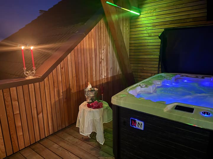 Magnifique Loft Avec Jacuzzi - Altkirch