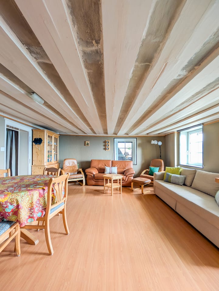 Appart Cozy Vue Montagne/ Jardin 3&nbsp;Min.&nbsp;De Villars - Villars-sur-Ollon