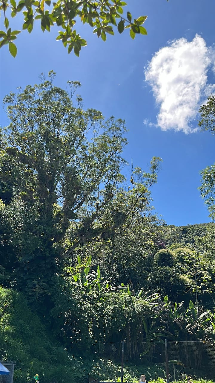 Estúdio Completo Com Banheira Vitoriana Na Serra - Petrópolis