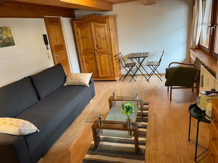 Schwarzwald Style Studio Apartment - Menzenschwand