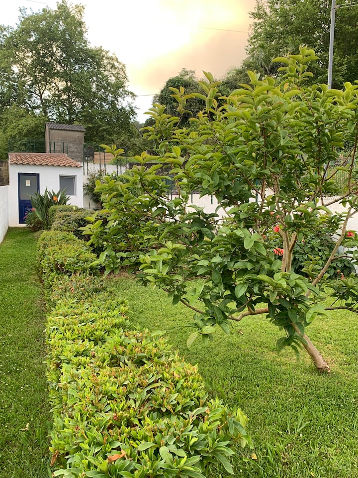 Charming Blue House - Furnas