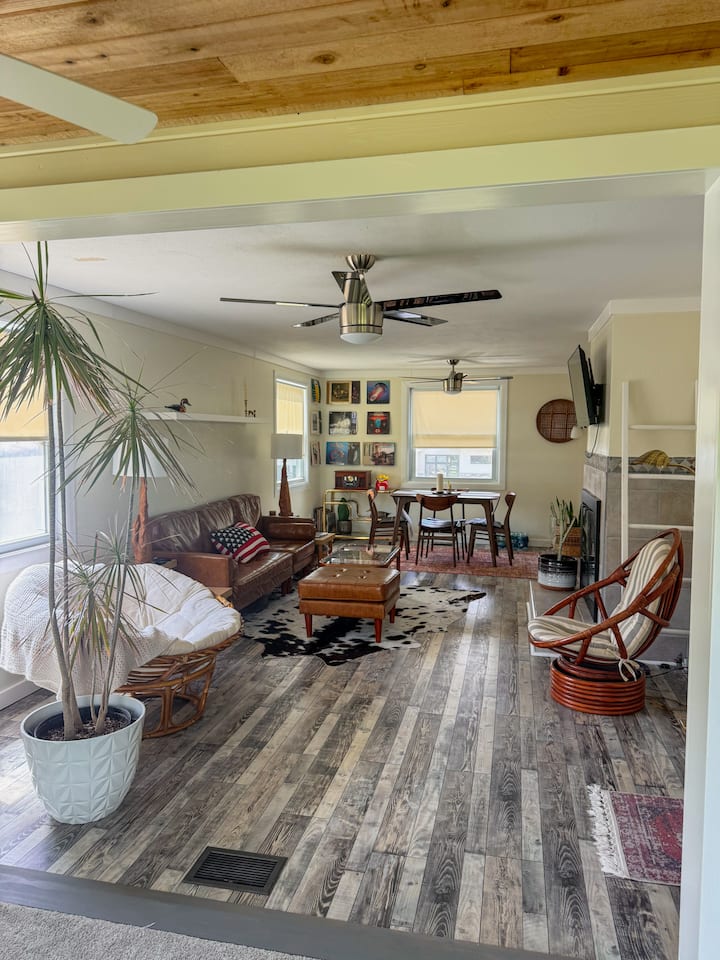 Old Florida Treasure - Lake Griffin State Park, Fruitland Park