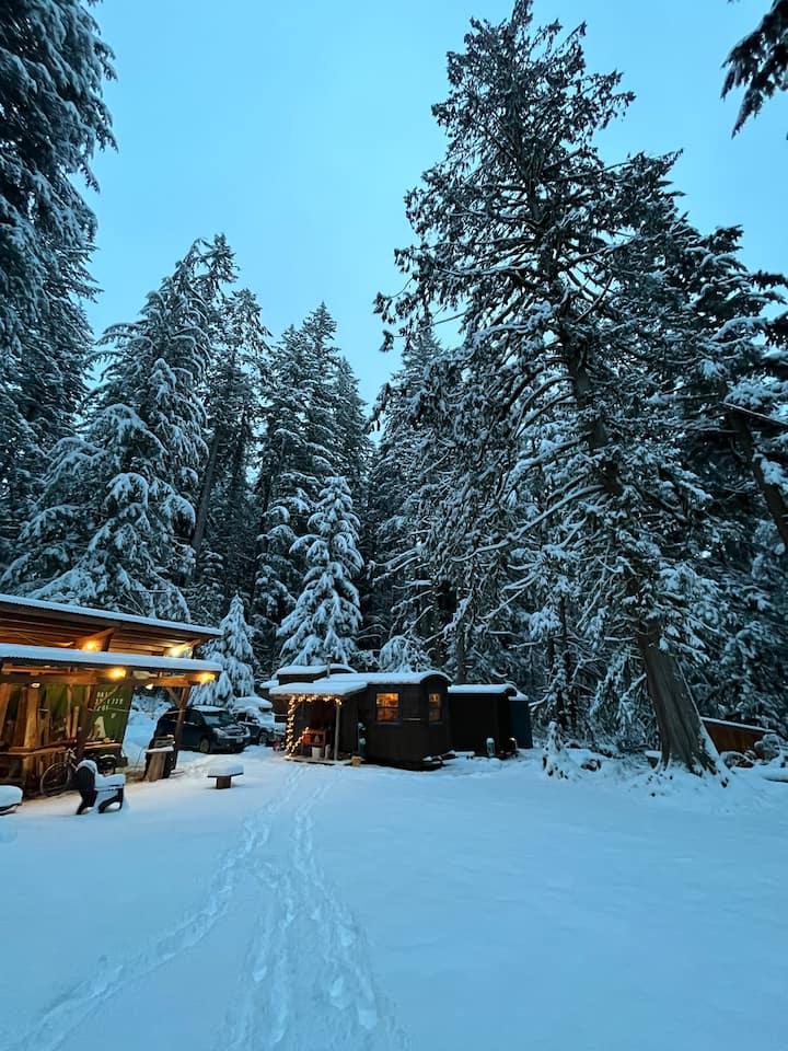 The Shred Shack - Cozy Tiny House With Sauna - Glacier, WA