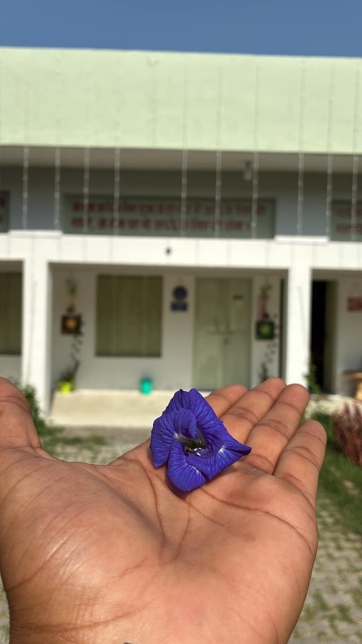 Nature Retreat Near Ganga Ji - Yoga Hall - Garden - Haridwar