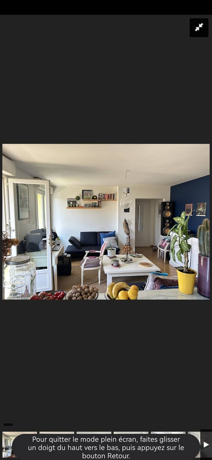 Appartement Lumineux Grande Terrasse Plein Sud - Strasbourg