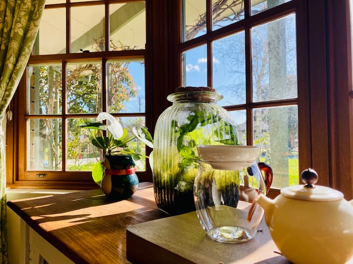 Comfy Cove - Adelaide