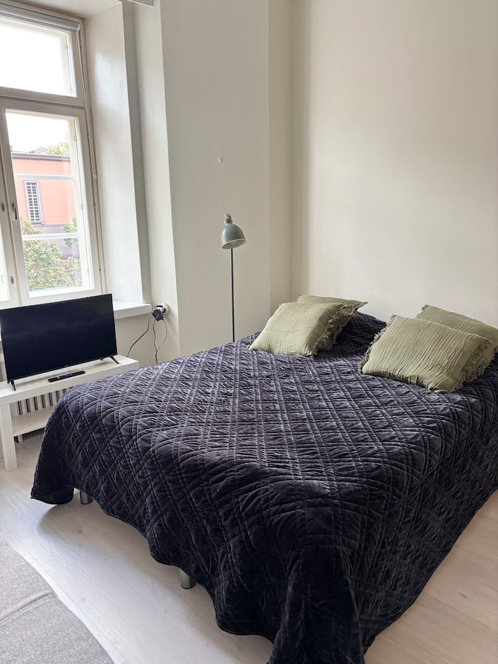 Remontoitu Yksiö Kulttuurin Keskellä - Helsinki