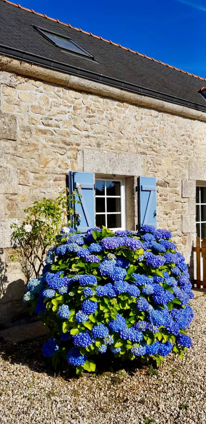 Anty Bihan 2
Maison Campagne - Baud