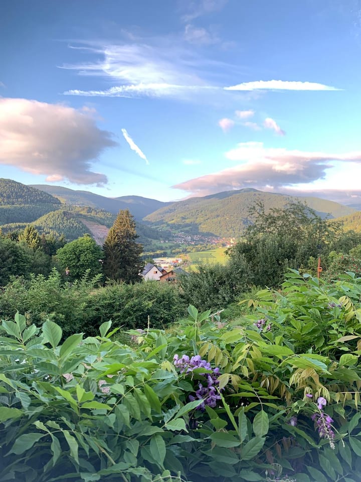 Chambre Avec Vue Magnifique De 1 à 4 Personnes - Turckheim