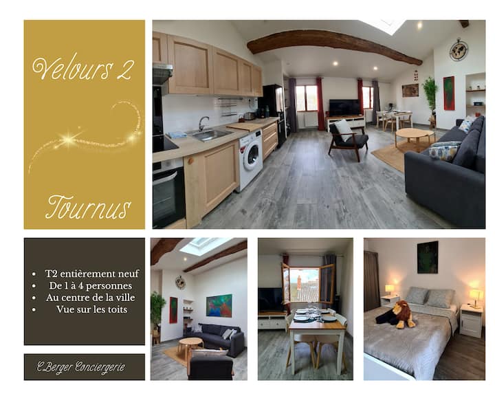 Velours 2, Spacieux, Cosy, Moderne - Tournus